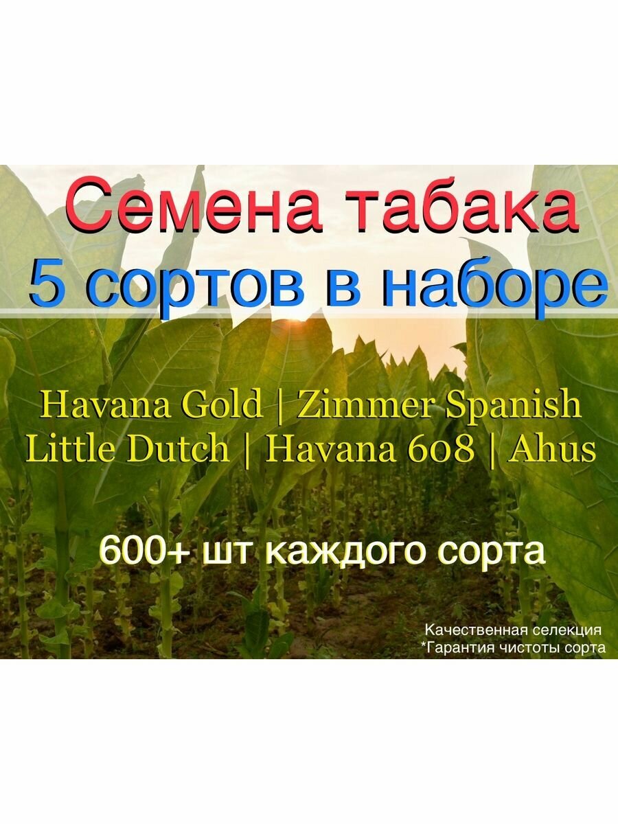 Семена табака набор Сигарные сорта