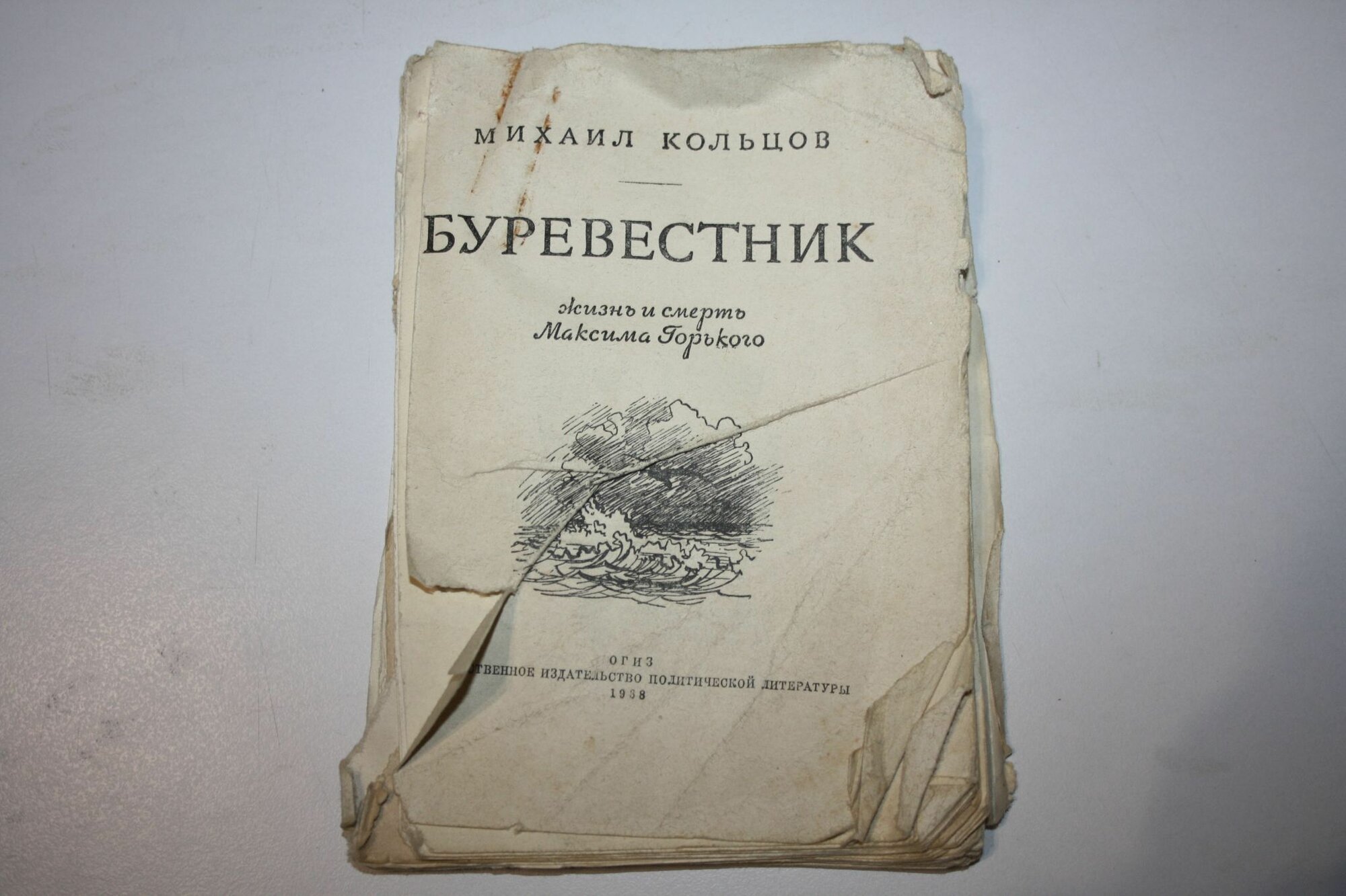 Буревестник. Жизнь и смерть Максима Горького