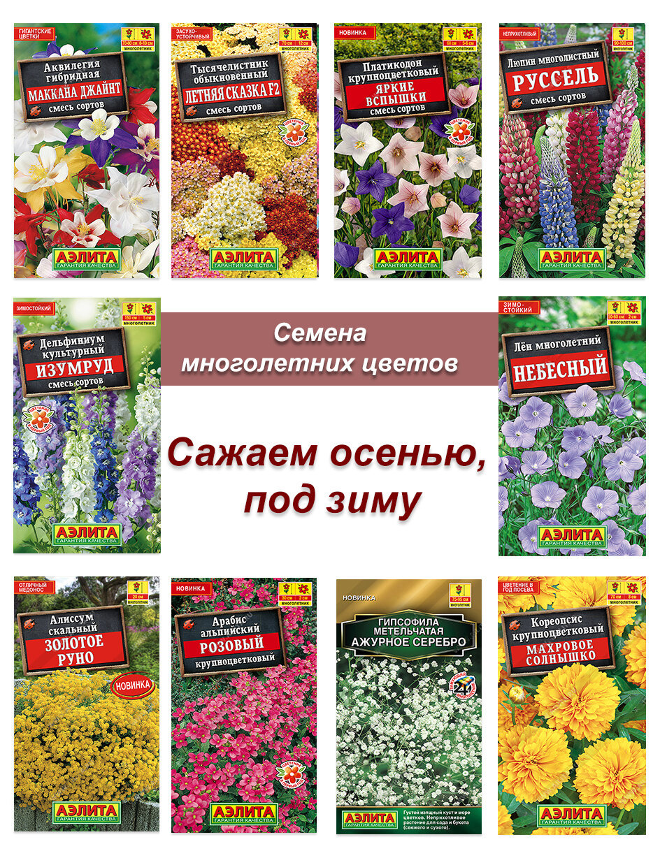 Семена многолетников, набор семян многолетних цветов