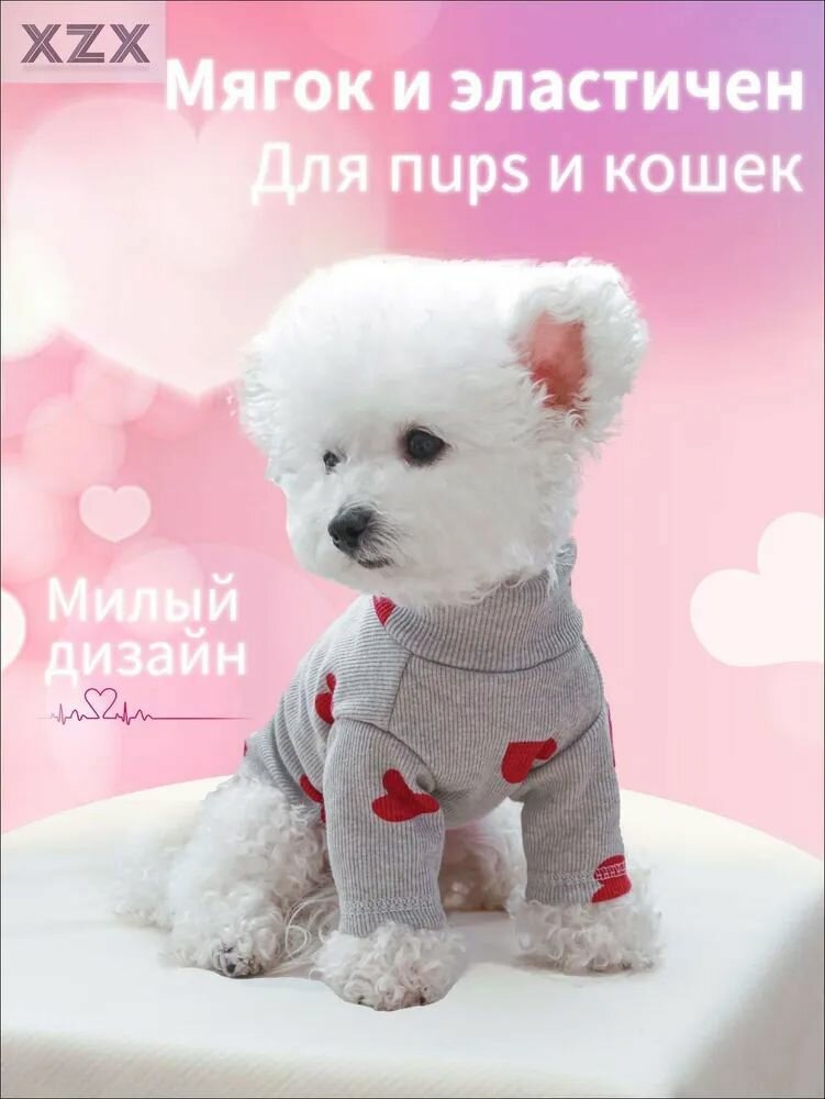 Одежда для домашних животных, футболка для кошек и собак.