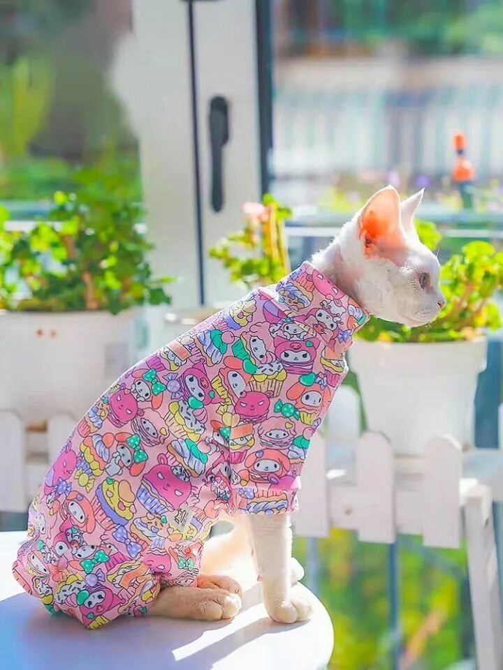 Комбинезон для кошек сфинксов