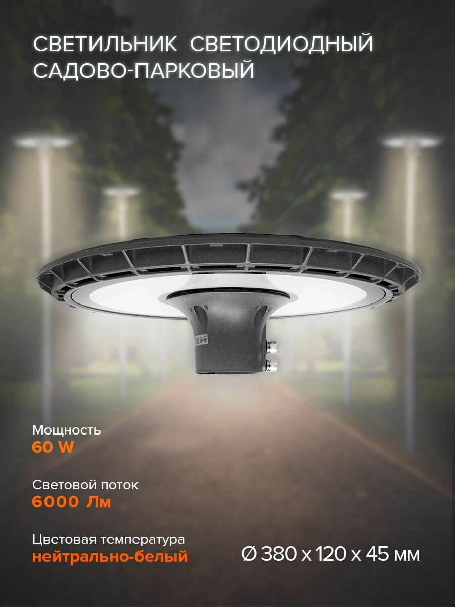 Светильник светодиодный садово-парковый Jazzway PGL 04 60w 5000K