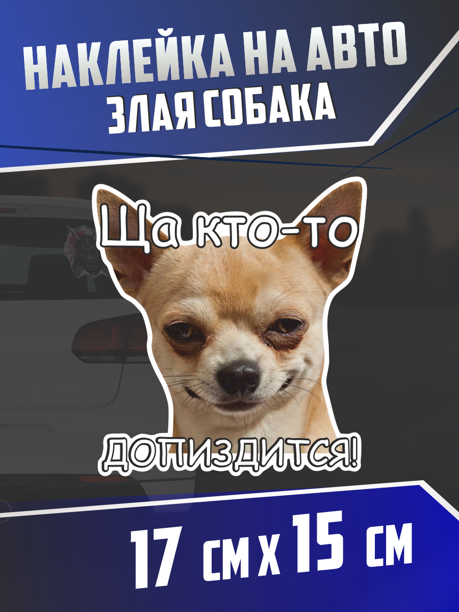 Наклейка на авто Мем Чихуахуа