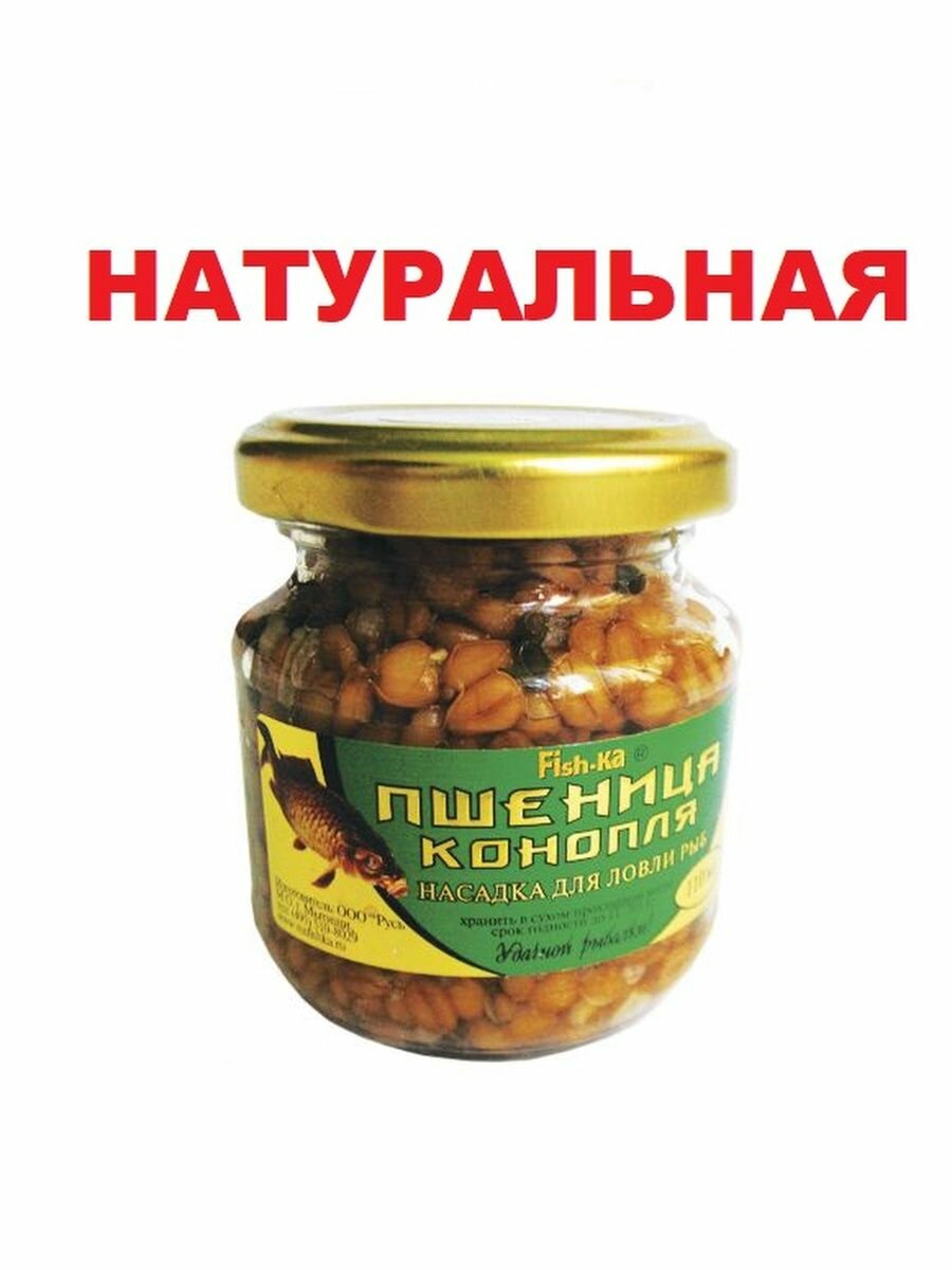 Прикормки для рыб
