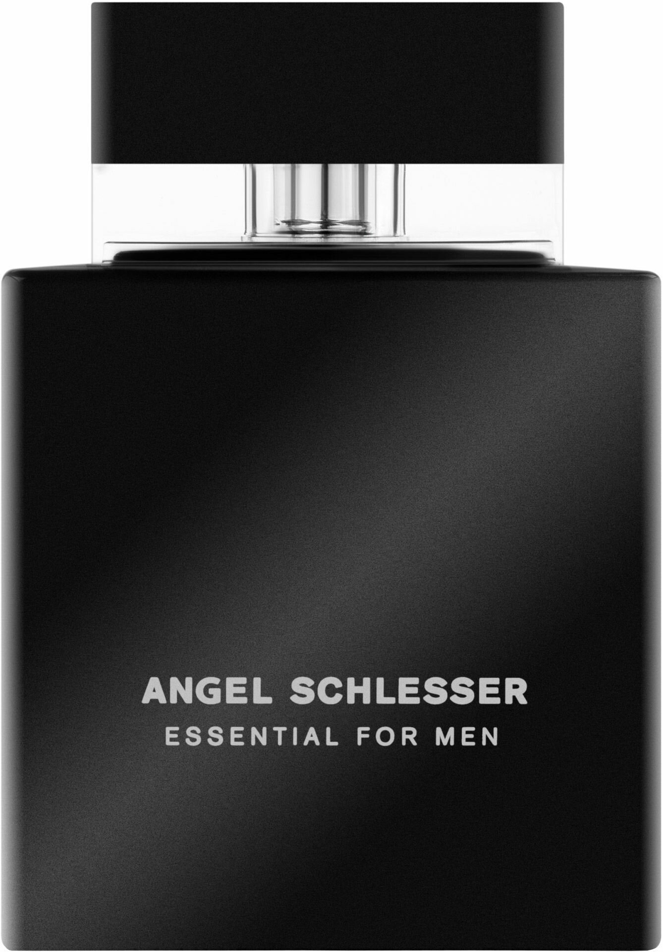 ANGEL SCHLESSER ESSENTIAL men мужская туалетная вода 100ml / Ангел шлессер мужские духи
