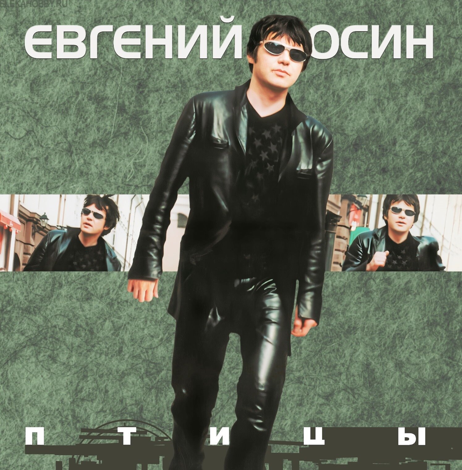 Осин Евгений "Виниловая пластинка Осин Евгений Птицы"