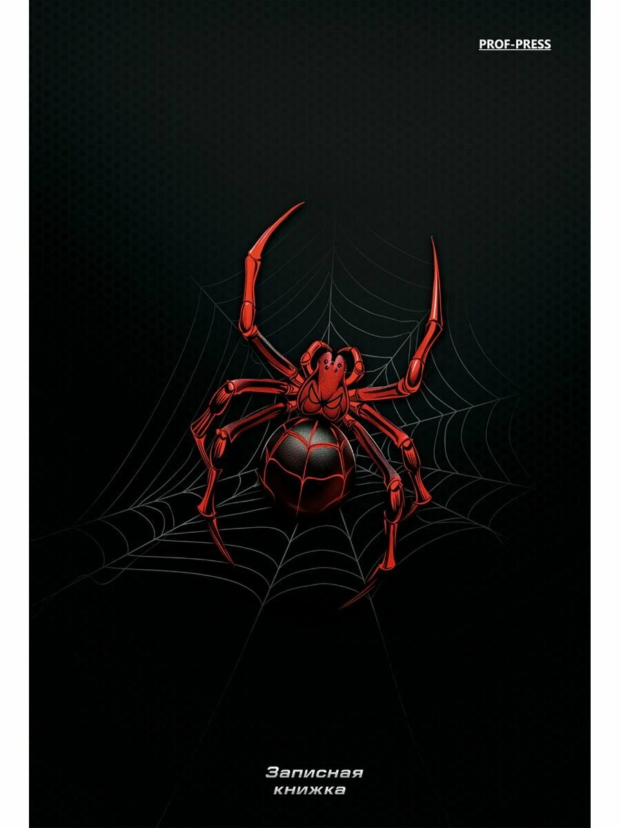 Блокнот Проф-пресс "Спайдер", черный, А5, 7БЦ, 80 листов, клетка, твин-лак (80-1809)
