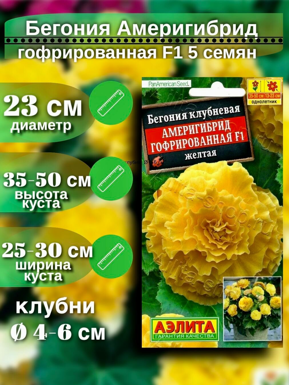 Семена Аэлита Бегония Америгибрид гофрированная F1 желтая, 5 семян / 1 пакет
