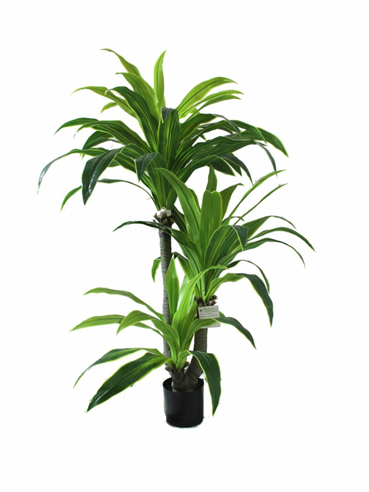 Искусственное дерево цветок Драцена Керолайн 160см, в техническом кашпо