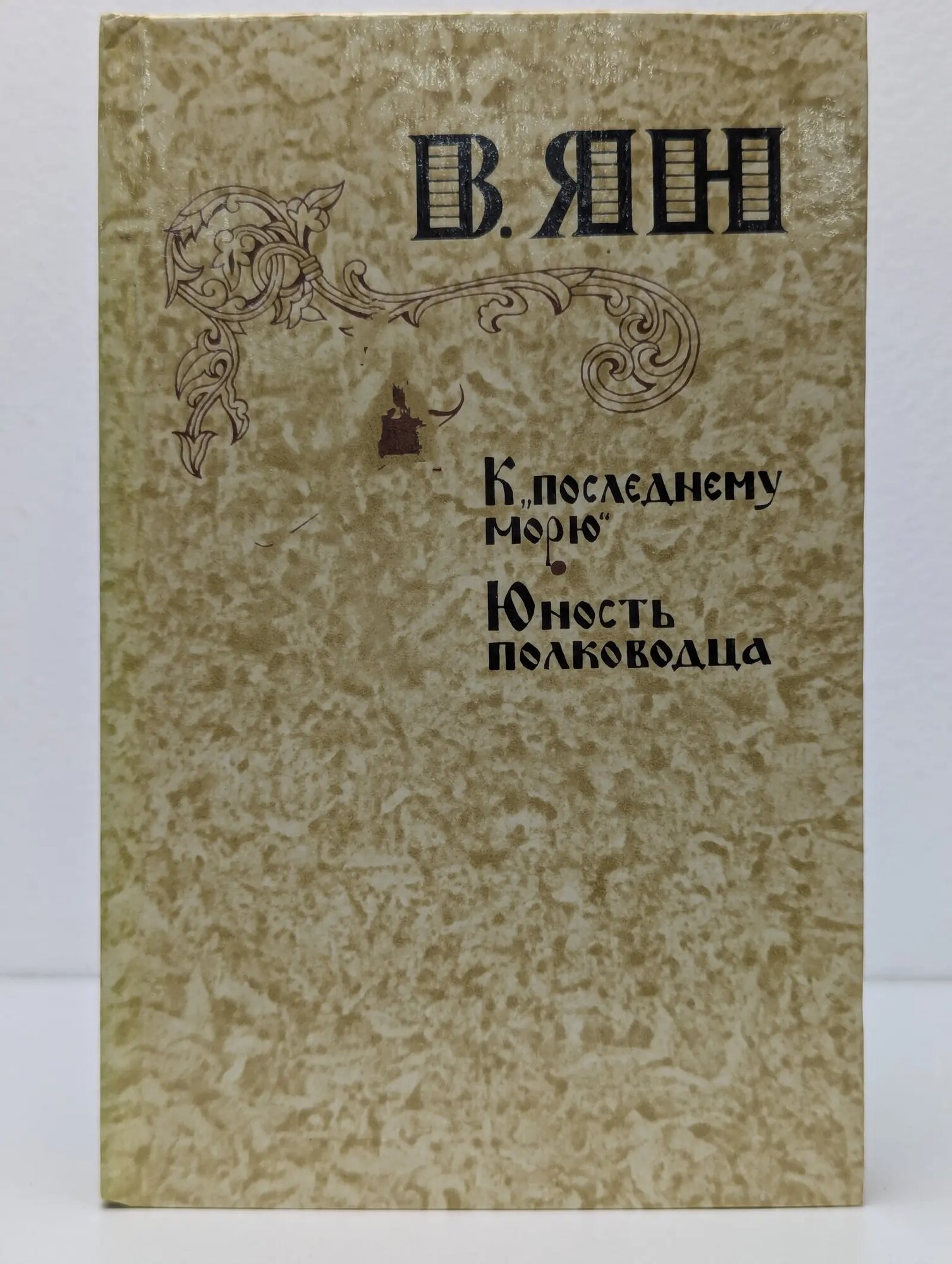 К "последнему морю". Юность полководца Ян Василий Георгиевич 1981