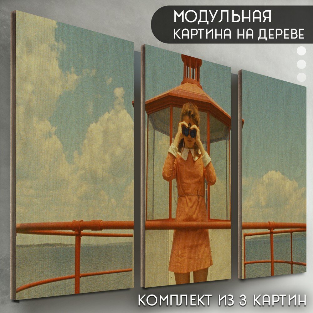Модульная картина на дереве "Фильм Королевство полный луны ( Уэс Андерсон, Отель гранд будапешт, остров собак) - 6590"