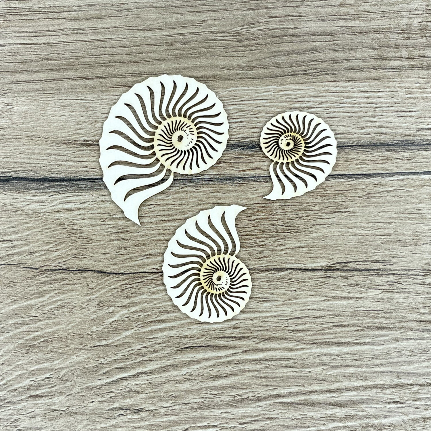 Чипборд "Ракушки" толщина 1,55 мм