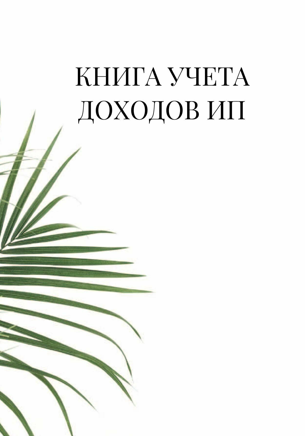 Книга учета доходов для ИП на патенте