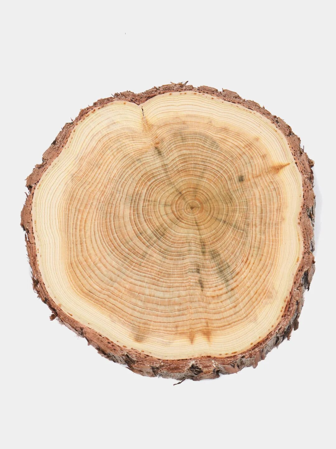 Спил можжевельника, диаметр 9-11 см. идеально отшлифованный с обеих сторон