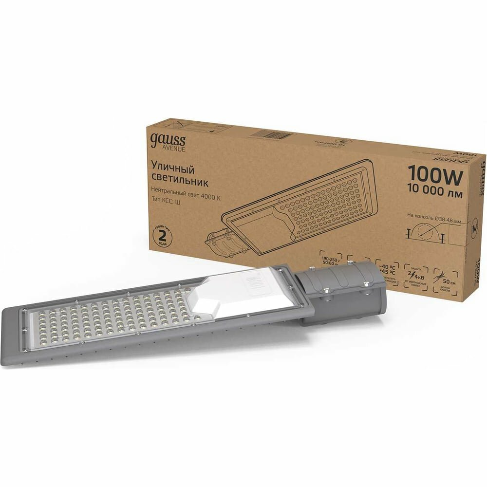 Уличный консольный светодиодный светильник Gauss с алюминиевым корпусом, защитным стеклом и рассеивателем