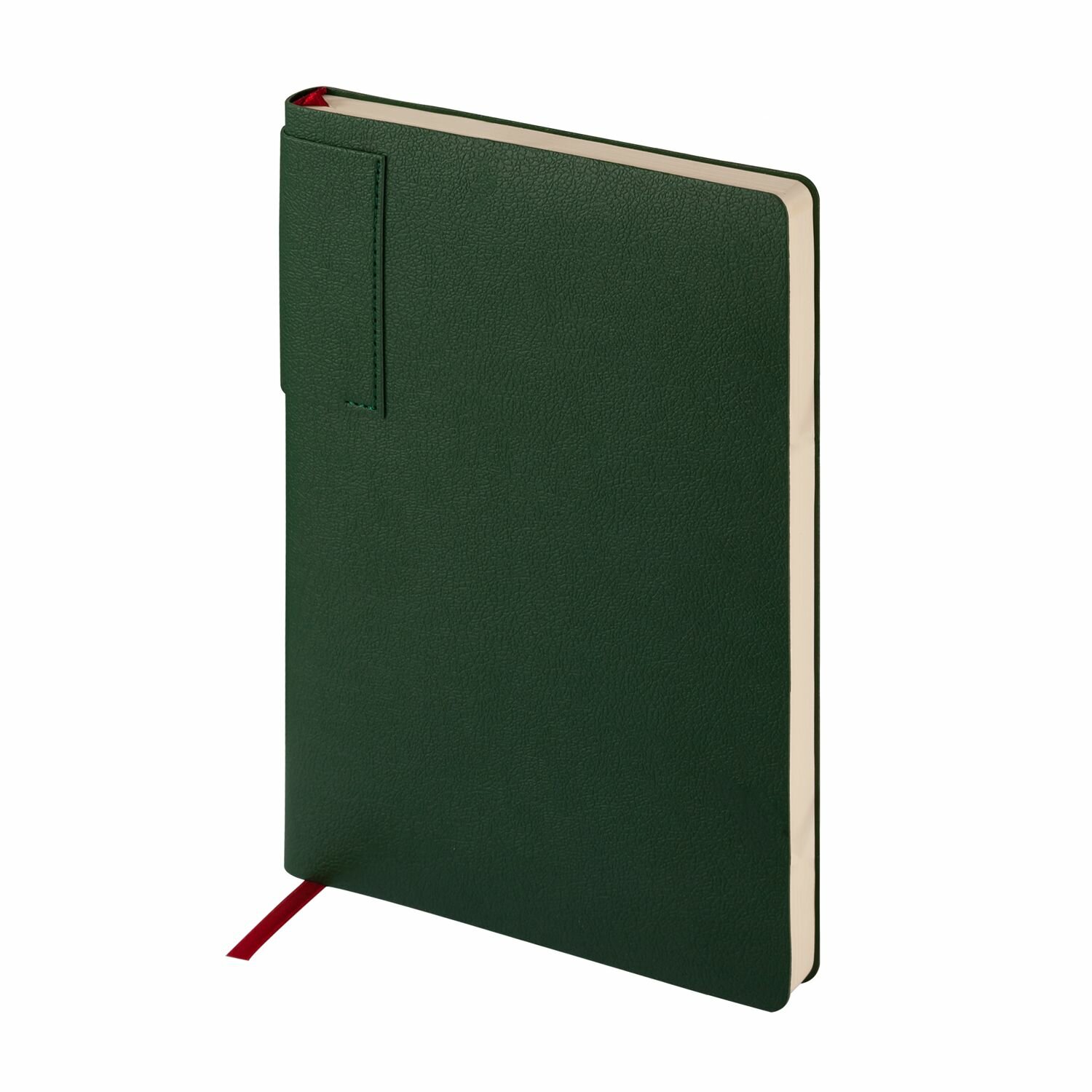 Кожаный блокнот для записей Bruno Visconti LONDON зеленый, ежедневник недатированный в мягкой обложке flex, 272 стр, записная книжка А5 планер / блокнот для бизнеса / кожаный ежедневник арт.3-546/10