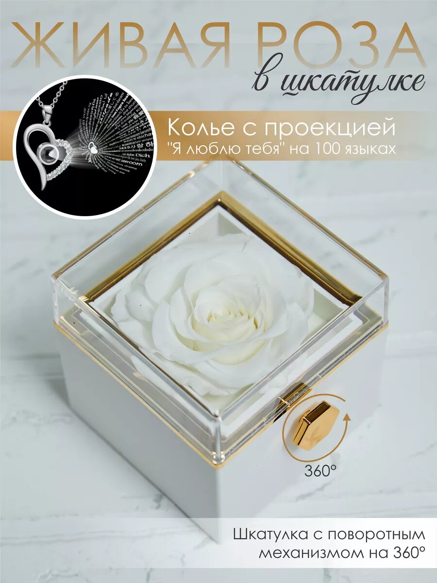 Роза в колбе живая стабилизированная подарочный набор