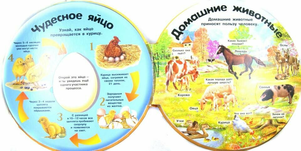 Книга Стрекоза Животные в деревне. 2013 год