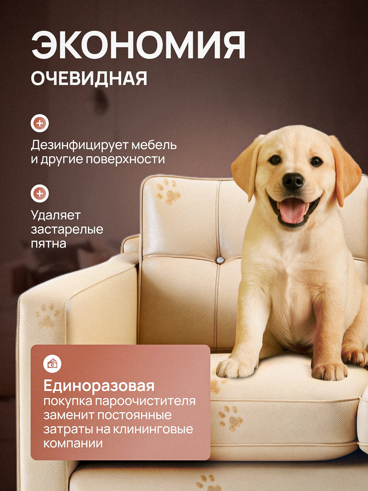 Пароочиститель — фото 1