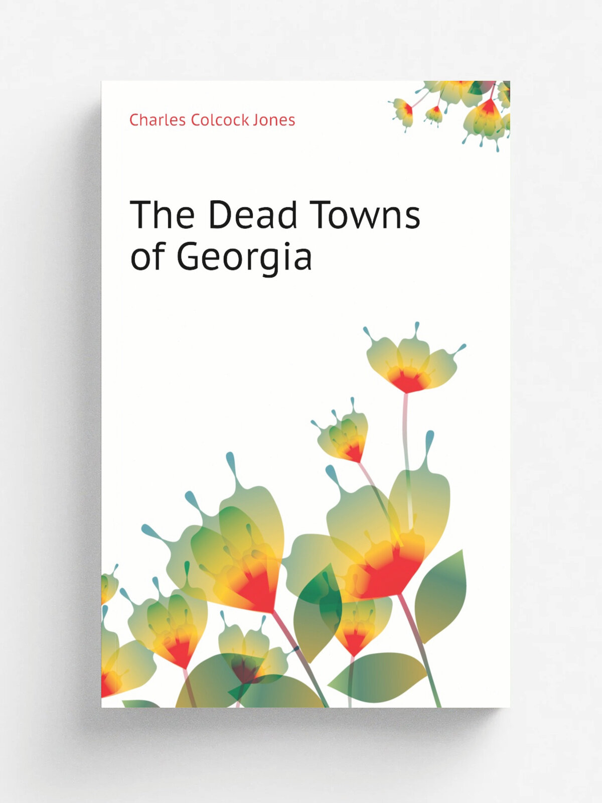 The Dead Towns of Georgia | Jones Charles Colcock | Репринт