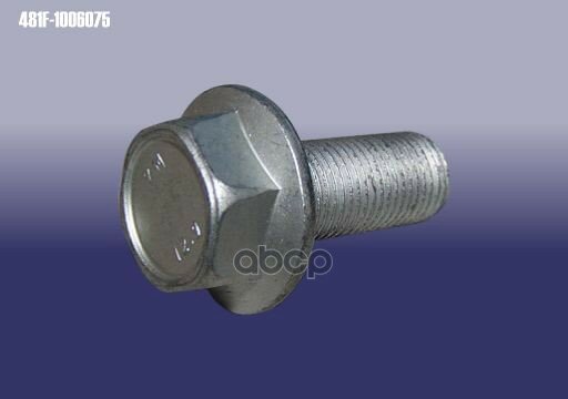 Болт С фиксированной шайбой 2.0NA CHERY арт. 481F1006075