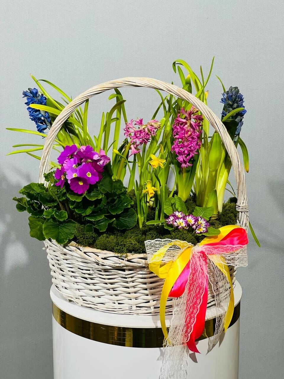 Огромная корзина с первоцветами / Весенняя композиция. Примула, амариллис, нарцисс и гиацинт