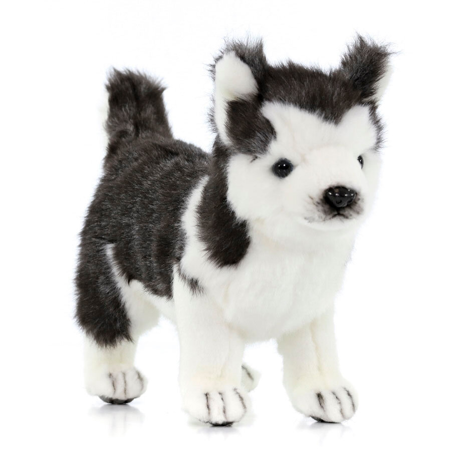 Реалистичная мягкая игрушка Hansa Creation, 6970 Собака сибирский хаски, чёрно-белая, щенок, 20 см