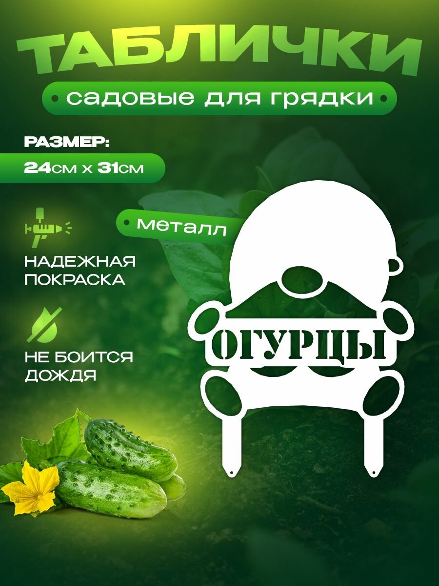 Табличка на грядку Гном садовод "Огурцы"