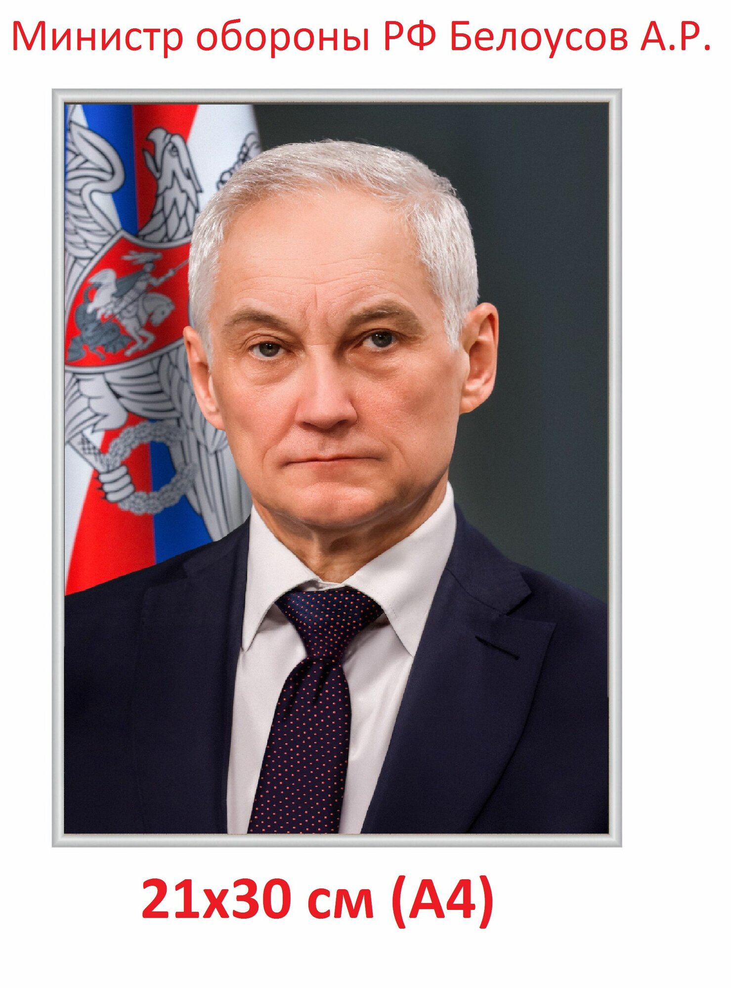 Портрет Белоусова Андрея Рэмовича, формат А4(21*29,7 см), алюминиевая рамка.