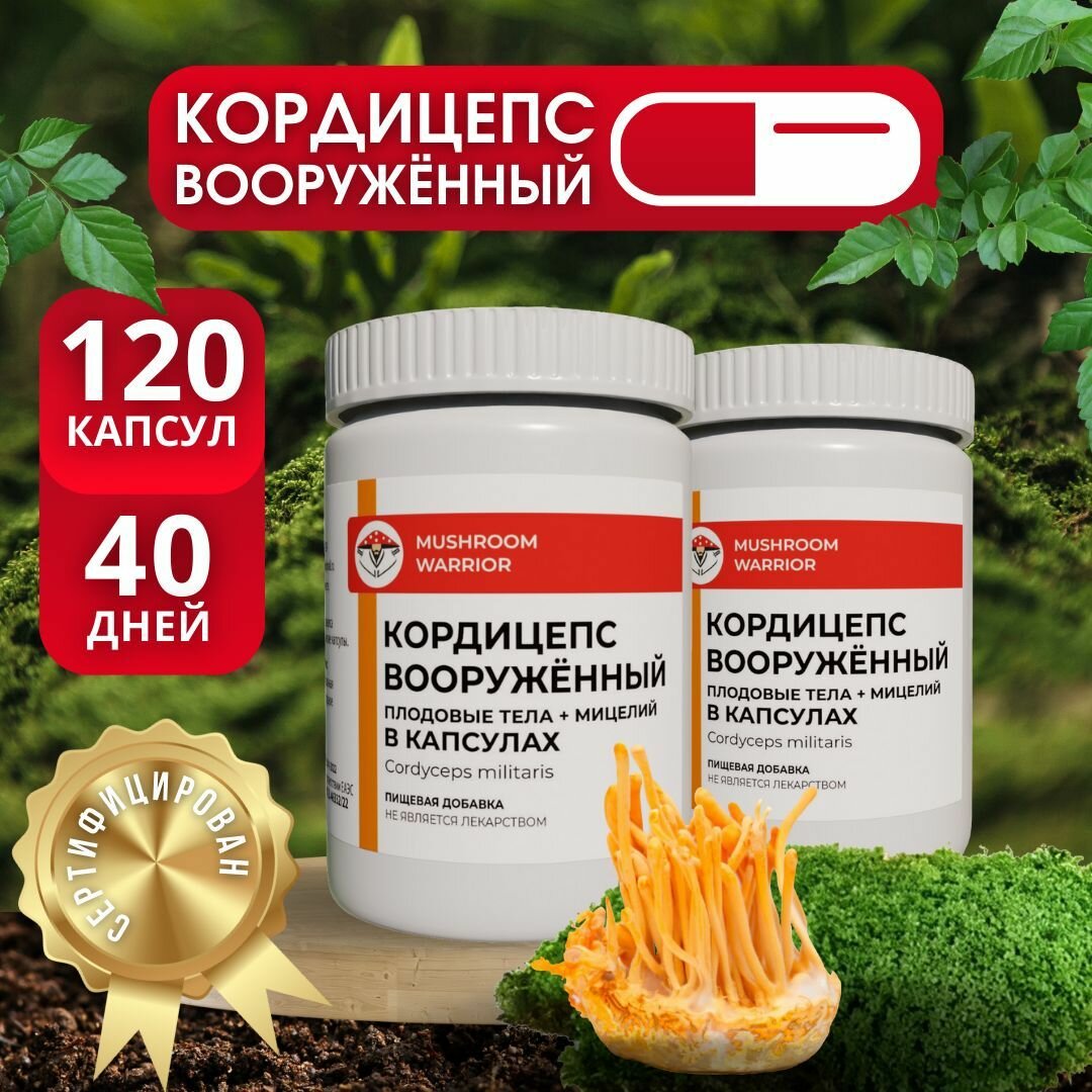 Кордицепс военный (вооруженный) ноотроп, порошок натуральный из плодовых тел и мицелия для иммунитета, детокс для омоложения, потенции ,2 х 60 кап