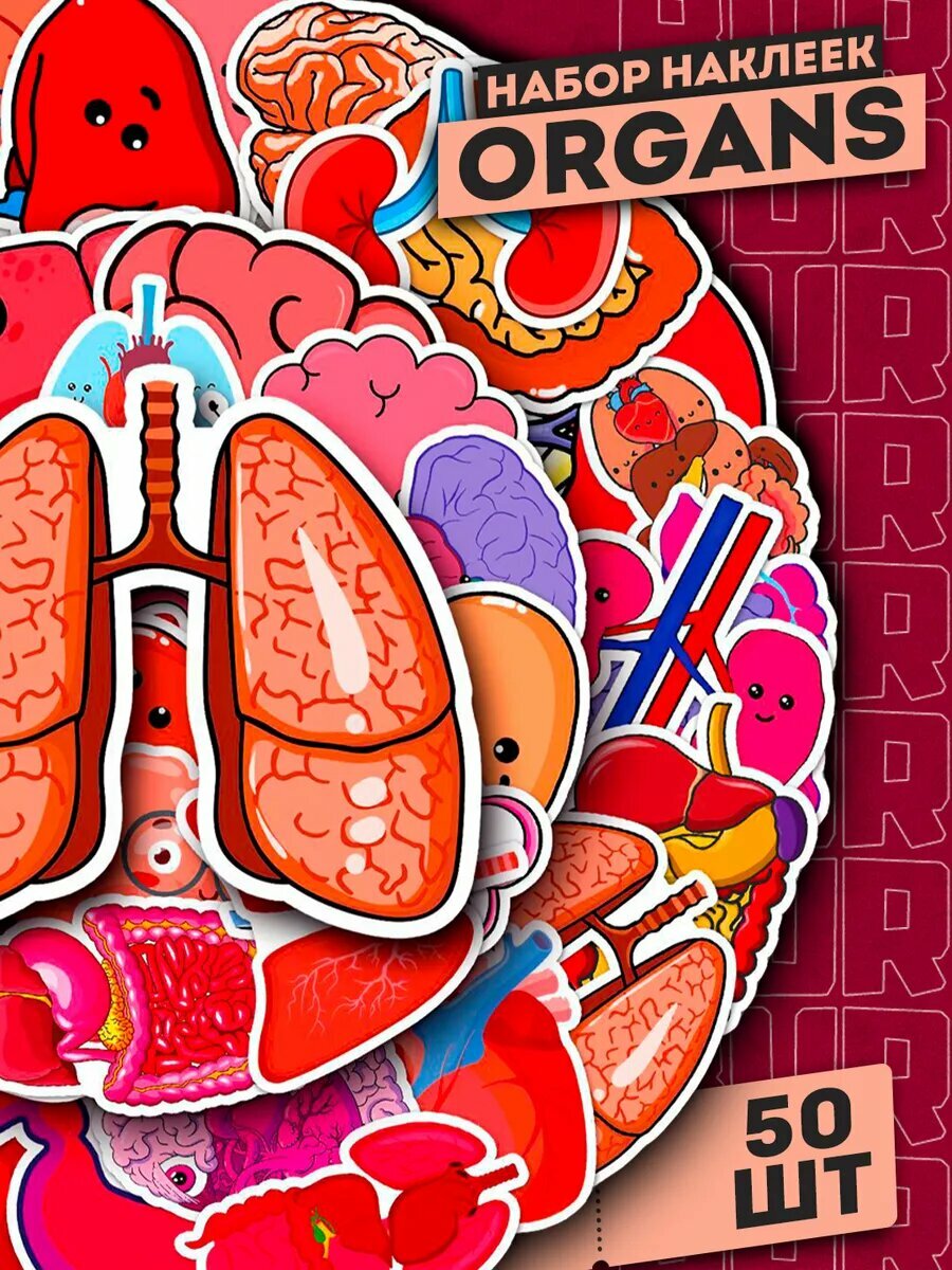 Набор самоклеящихся виниловых наклеек Organs 50 шт.