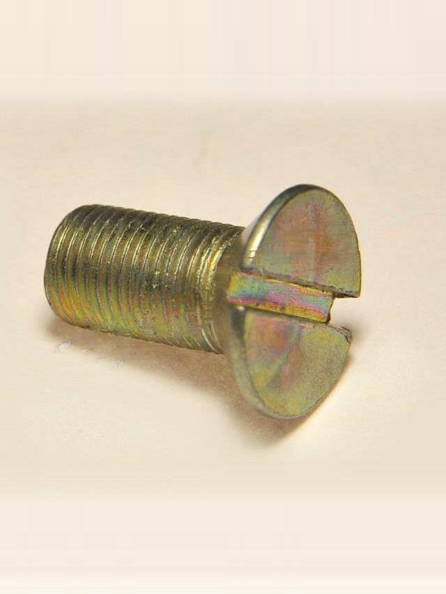 Винт М10*22*1 петли двери Волга, 221747-П29