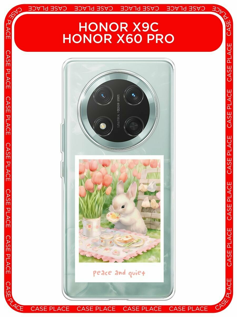 Чехол на Honor X9C/X60 Pro / Хонор X9X/X60 Про с принтом Кролик на пикнике, прозрачный