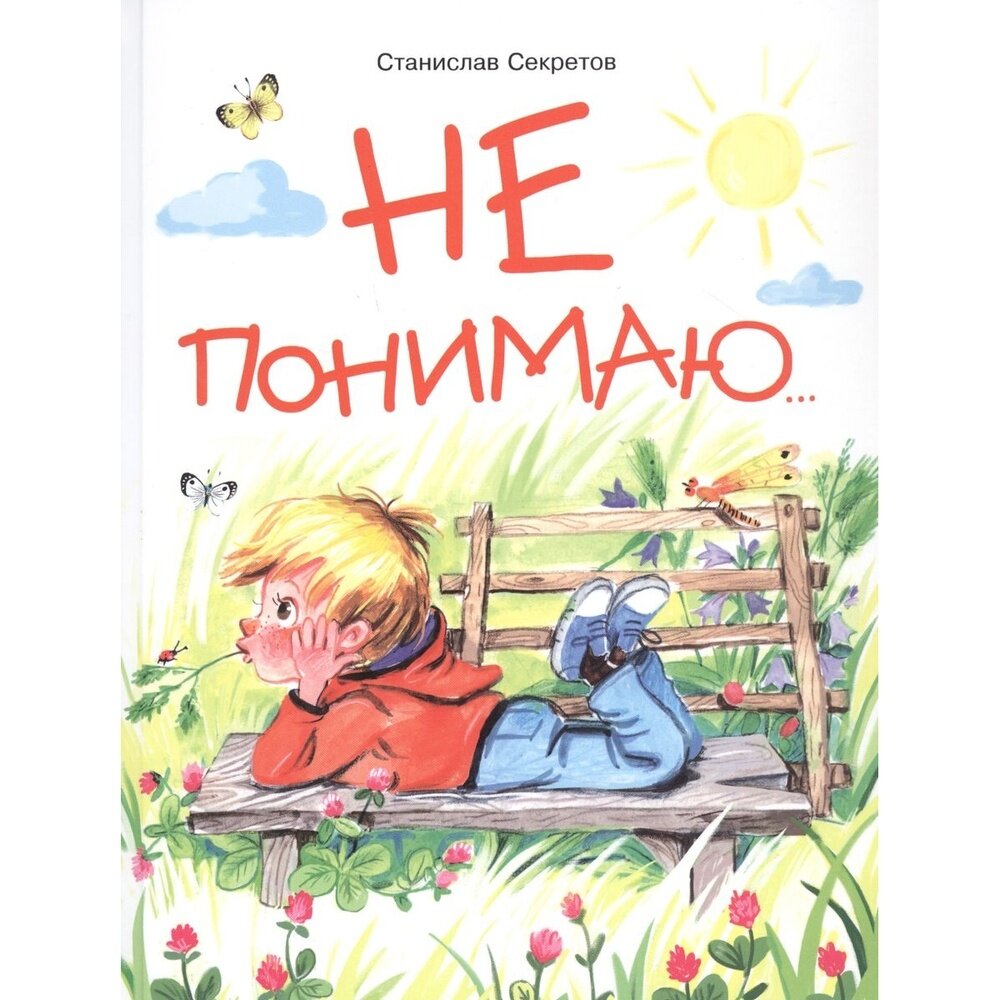 Книга Стрекоза "Не понимаю.". 2020 год, Секретов С.