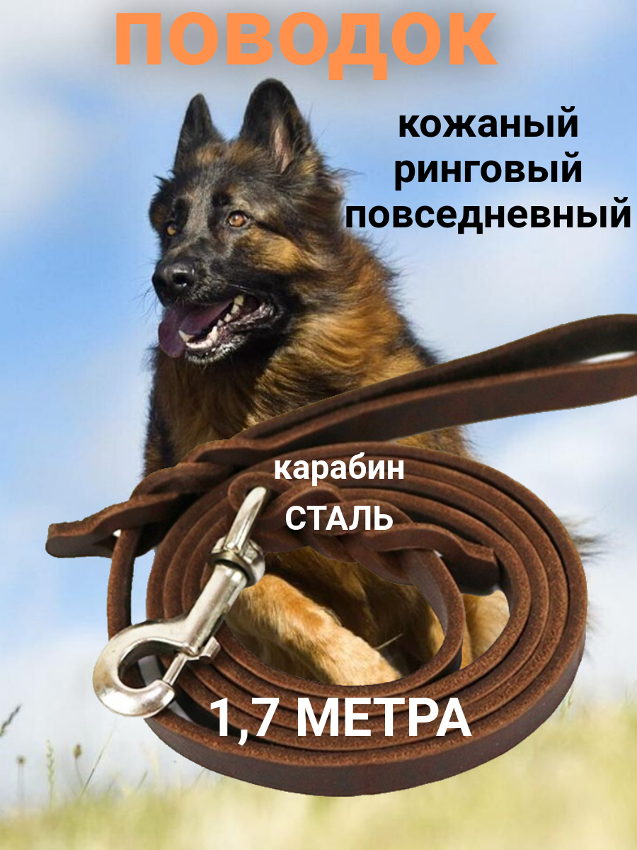 Поводок кожаный повседневный ринговый.