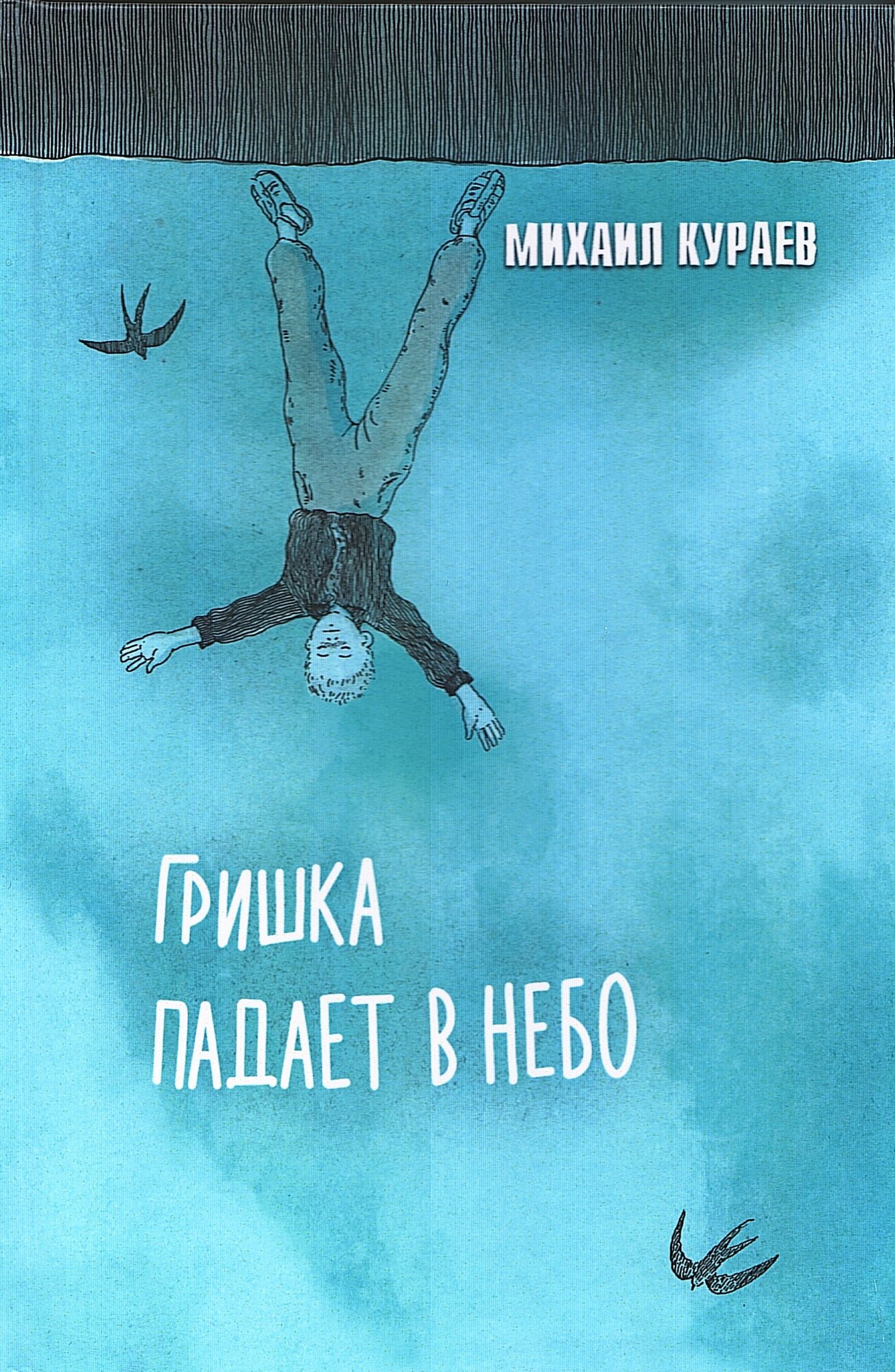 Гришка падает в небо. Недетские рассказы