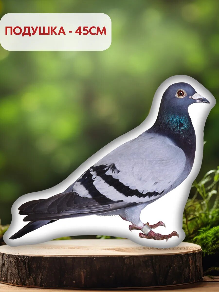 Подушка реалистичная птица Голубь