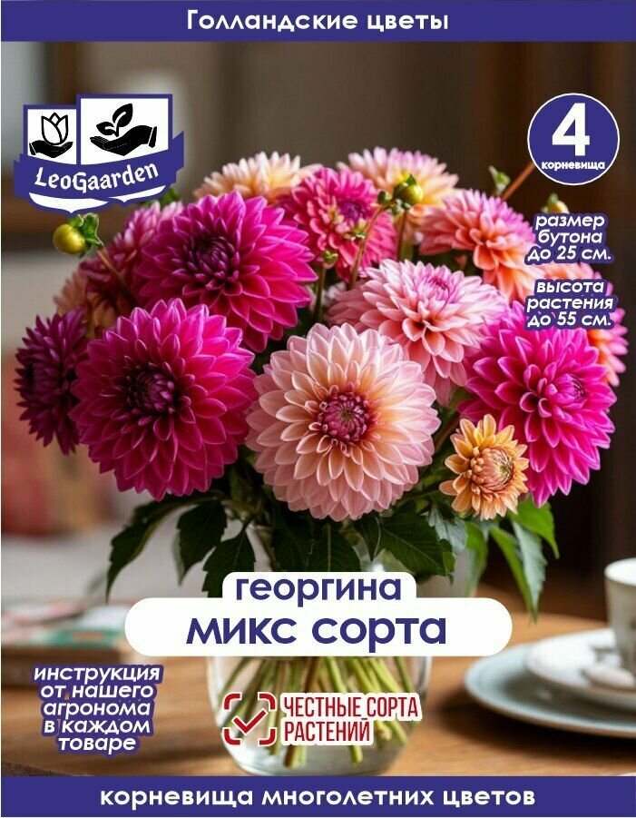 Георгина Корневище, Микс сортов, 4 шт