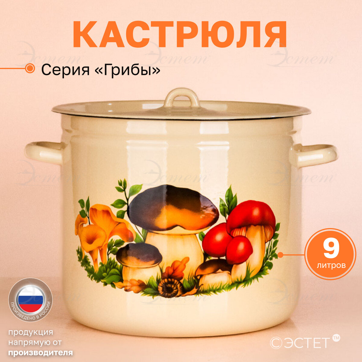 Кастрюля эмалированная для плиты 9.0 л