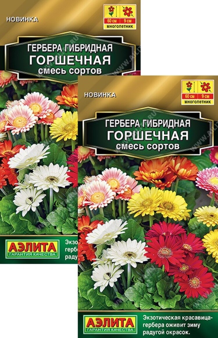 Семена Гербера Горшечная смесь (10 семян), 2 пакета, Агрофирма Аэлита