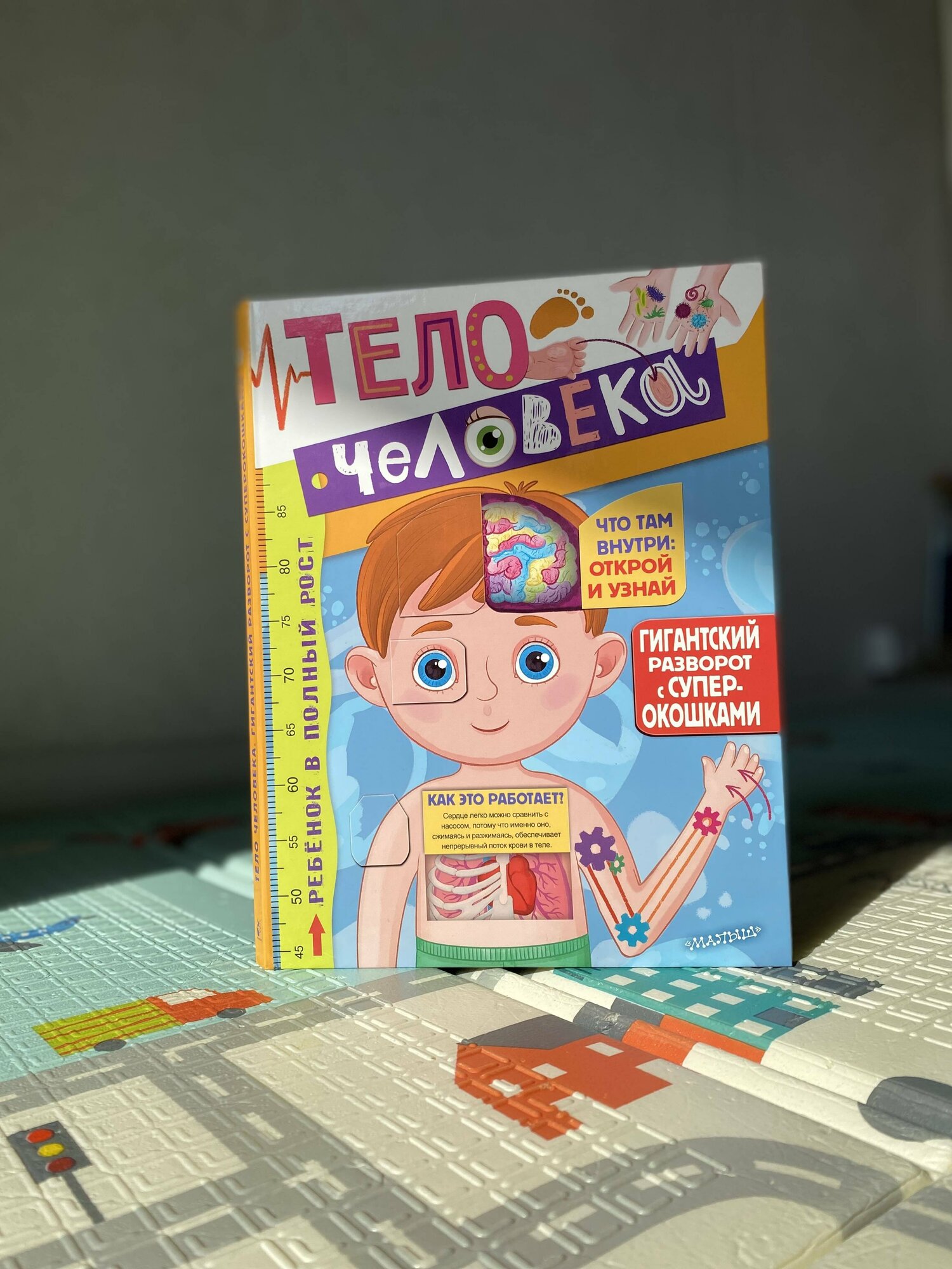 Тело человека — фото 1