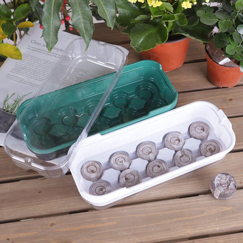 1 шт. семена суккулентов для растений, ящик для выращивания с крышками, теплицы, рассада, стартовый набор