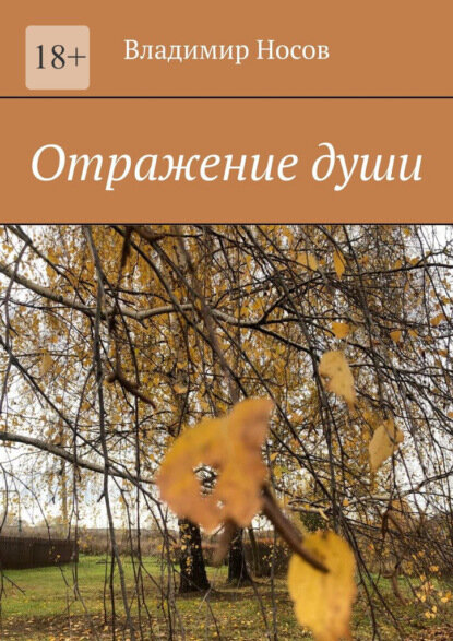 Отражение души [Цифровая книга]