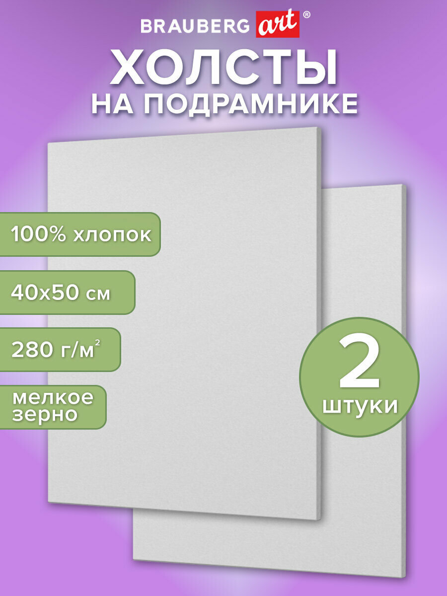 Холст для рисования на подрамнике 40х50см грунтованный набор 2 шт, 280 г/м2, 100% хлопок, мелкое зерно, Brauberg, 192673