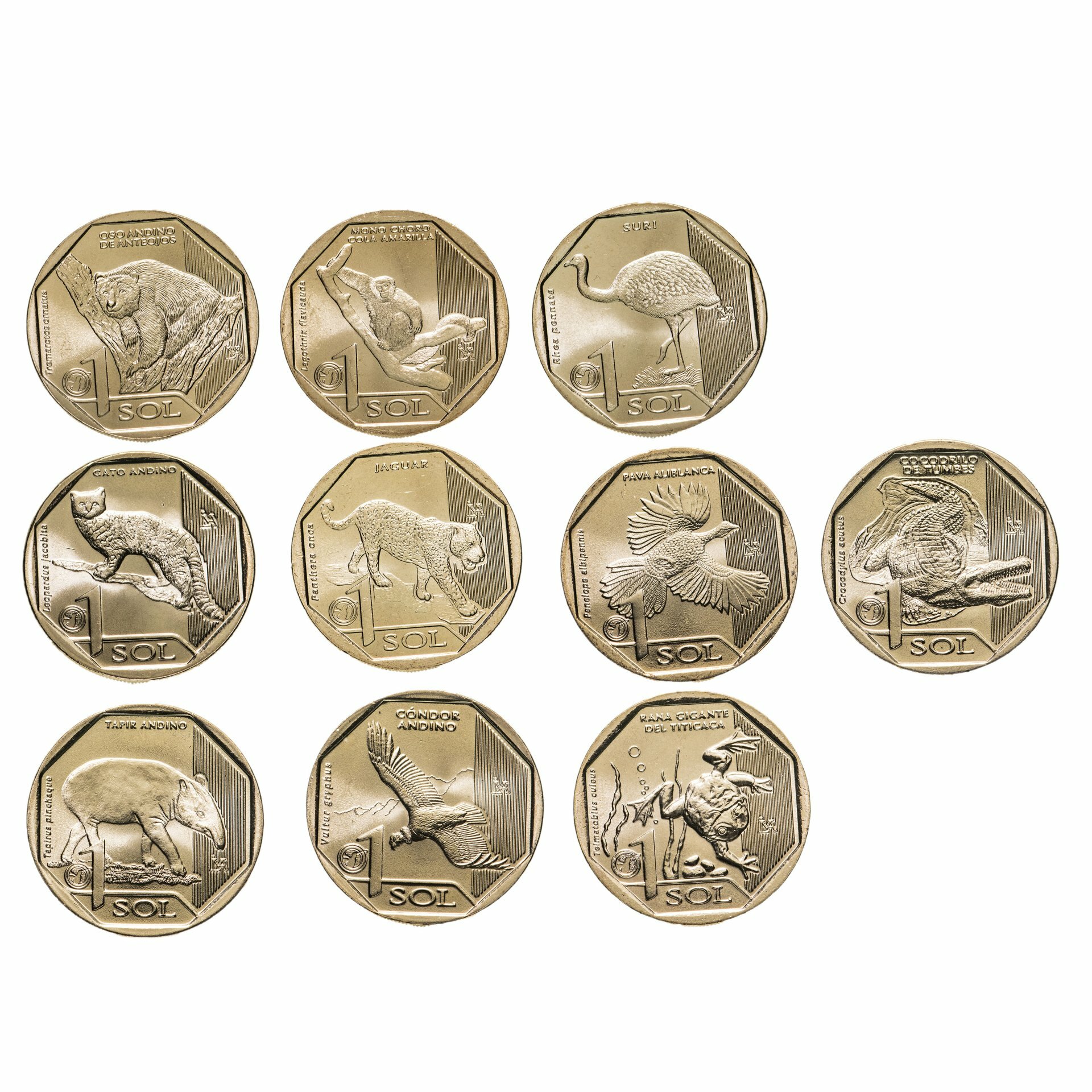 Перу - полный набор 10 штук х 1 соль 2017-2019 "Дикая Природа Перу" Фауна, МНЦ медь-никель-цинк, в сохранности UNC