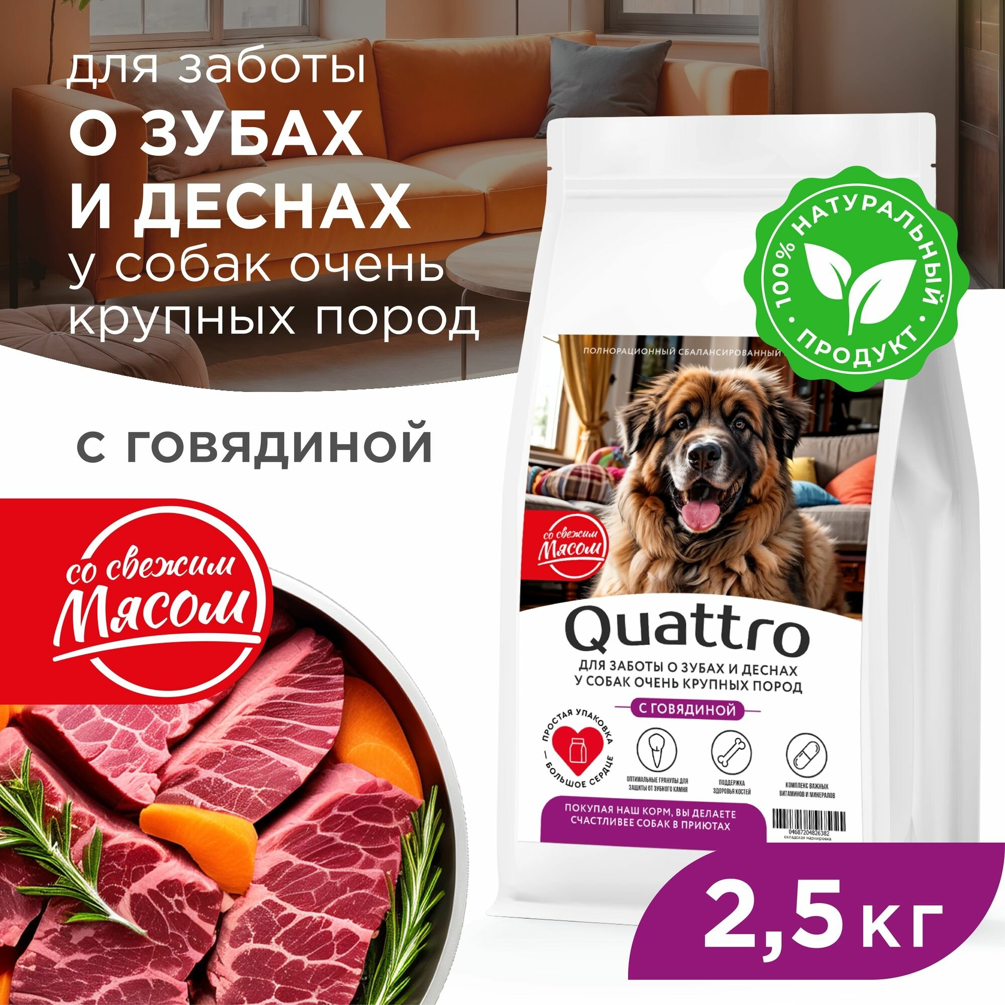 Корм сухой для взрослых собак очень крупных пород, премиум полнорационный комплекс, для заботы зубов и десен, с говядиной, 2,5 кг, QUATTRO