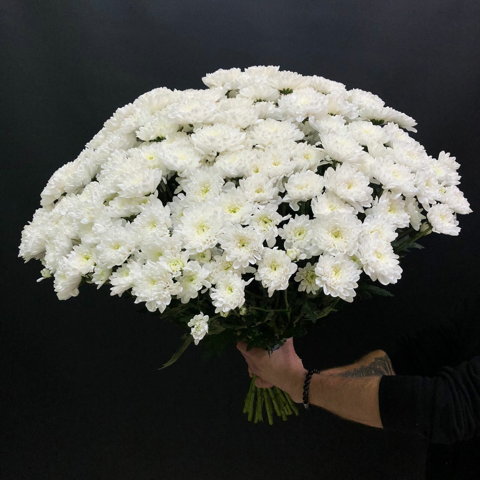 Монобукет из 25 штук кустовых хризантем под лентой