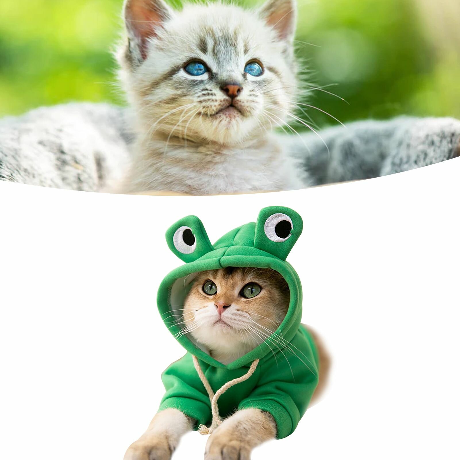 Толстовки для кошек