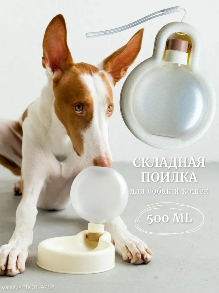 Поилка для собак и кошек дорожная (складная миска), 500ML, волчары