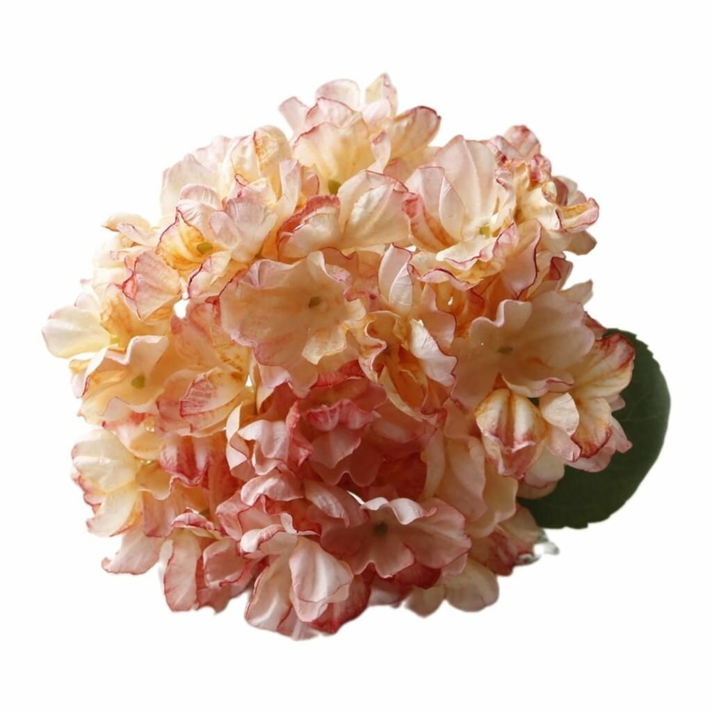 Искусственная гортензия 35 см для декора и ваз, Порошок для шампанского